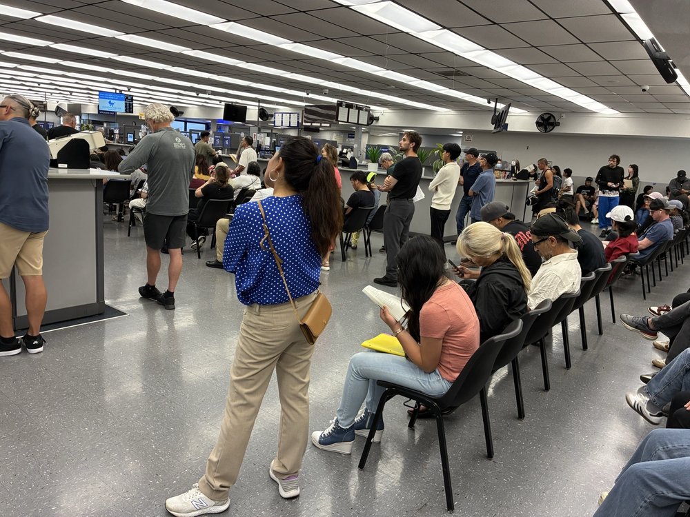 DEPARTMENT OF MOTOR VEHICLES - Updated December 2025 - 148 Photos & 584 ...