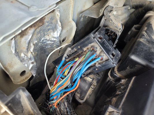 RPM AUTOMOTIVE CLINIC - Updated November 2025 - 20 Photos & 10 Reviews ...