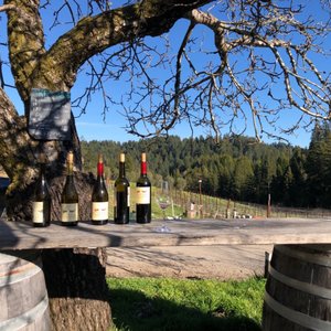 PORTER-BASS WINERY - 83 Photos & 104 Reviews - 11750 Mays Canyon Rd ...