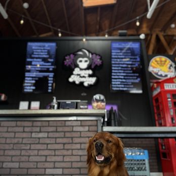 SUGAR MONKEY BREWING - Updated September 2025 - 47 Photos & 40 Reviews ...