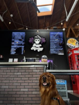 SUGAR MONKEY BREWING - Updated December 2025 - 52 Photos & 48 Reviews ...