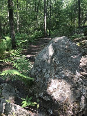 HAROLD PARKER STATE FOREST - Updated May 2024 - 67 Photos & 37 Reviews ...