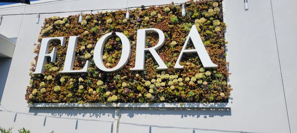 FLORA ROOFTOP BAR - Updated February 2025 - 281 Photos & 191 Reviews ...