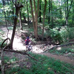 HISLE FARM PARK - Updated June 2025 - 21 Photos - 3551 Briar Hill Rd ...