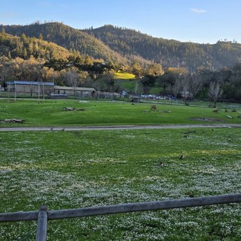 SAFARI WEST - Updated January 2026 - 3601 Photos & 1126 Reviews - 3115 ...