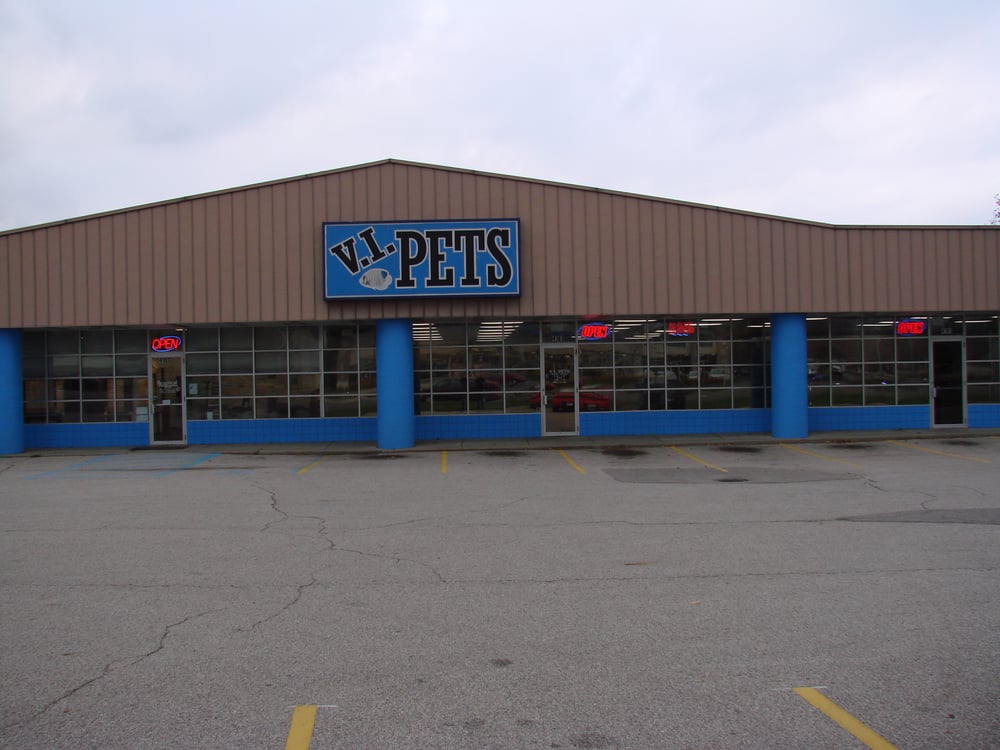 VI PETS - PLAINFIELD - Updated December 2025 - 33 Reviews - 4191 Plainfield Ave NE, Grand Rapids ...
