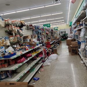DOLLAR TREE - Updated January 2026 - 5600 Georgia Ave NW, Washington ...