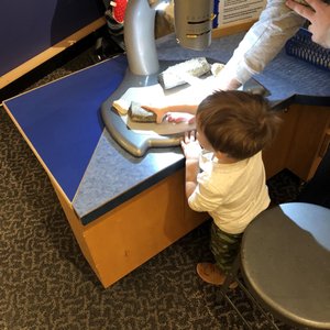 WONDERLAB MUSEUM OF SCIENCE HEALTH & TECHNOLOGY - 135 Photos & 27 ...