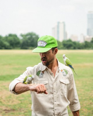 THE WILD PARROTS OF EAST AUSTIN - Updated December 2025 - 35 Photos ...