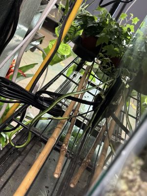 ZOO CREATURES PET STORE - Updated December 2025 - 83 Photos & 70 ...