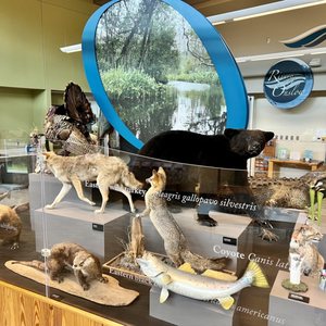 ONSLOW COUNTY PUBLIC LIBRARY - Updated December 2025 - 58 Doris Ave E ...