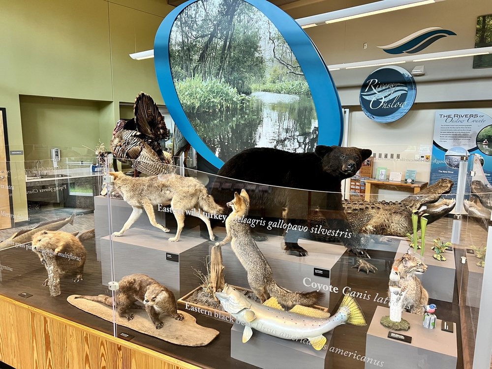 SNEADS FERRY BRANCH LIBRARY - Updated October 2025 - 10 Photos - 1330 ...