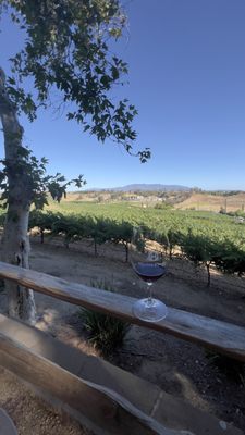 HALTER RANCH TEMECULA - Updated July 2024 - 85 Photos & 39 Reviews ...