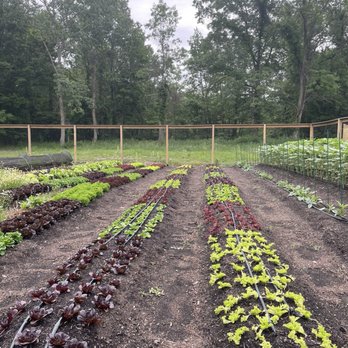 FARMETTE - Updated November 2025 - 63 Photos & 19 Reviews - 18439 US-12 ...