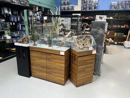 STRICTLY REEF - Updated September 2024 - 85 Photos & 57 Reviews - 907 W ...