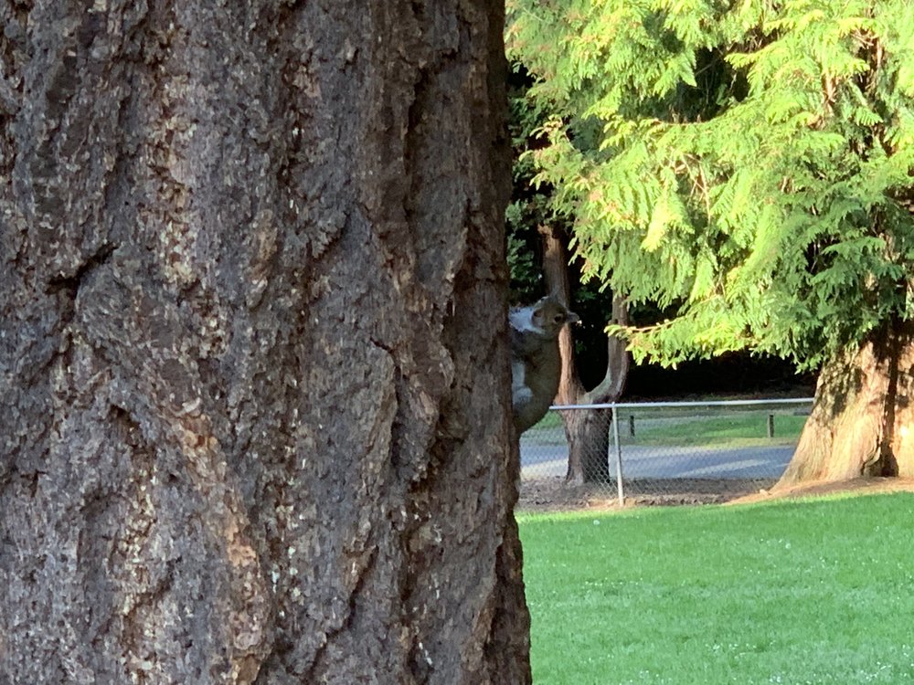 EDMONDS CITY PARK - Updated December 2025 - 75 Photos & 23 Reviews ...