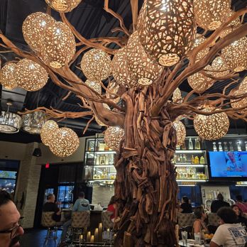 AZTECA D’ORO WESLEY CHAPEL - Updated December 2024 - 221 Photos & 131 ...