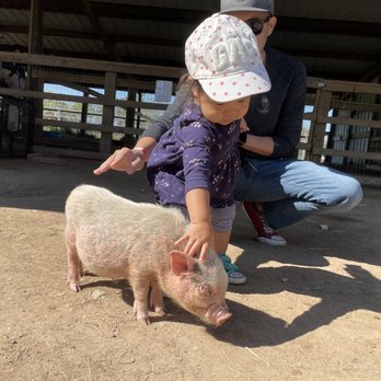 BAYOU WILDLIFE ZOO - Updated January 2026 - 349 Photos & 155 Reviews ...