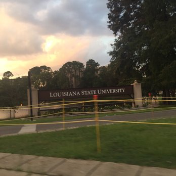 LOUISIANA STATE UNIVERSITY - Updated May 2025 - 126 Photos & 23 Reviews ...