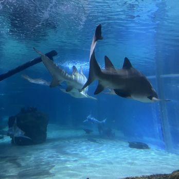 GREATER CLEVELAND AQUARIUM - Updated July 2025 - 606 Photos & 272 ...