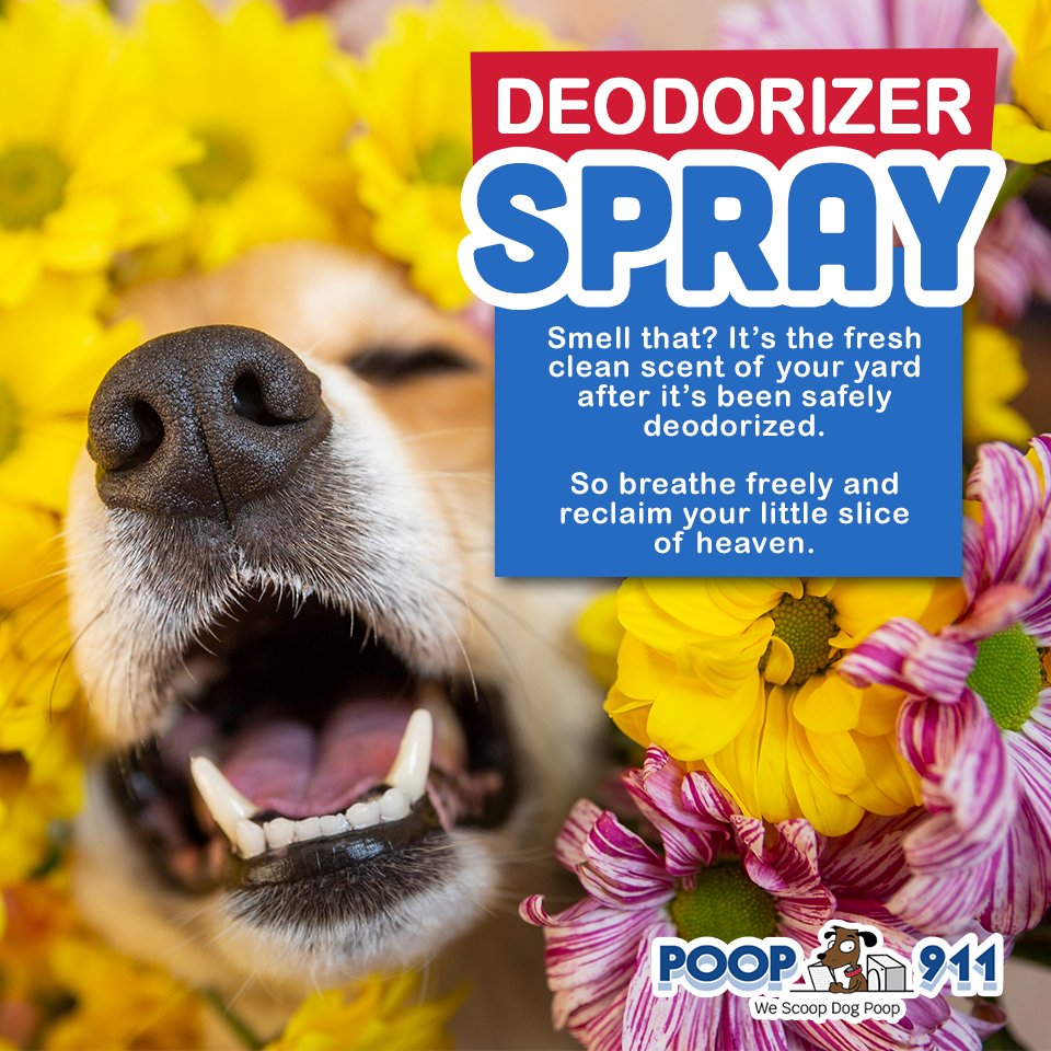 POOP 911 - Updated June 2025 - Request a Quote - 19 Photos - Brighton ...