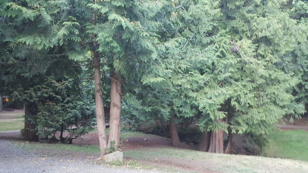 MEINIG MEMORIAL PARK - Updated December 2025 - 10 Reviews - 17670 ...