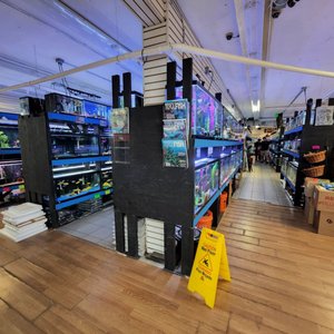 ABSOLUTELY FISH - Updated August 2025 - 74 Photos & 129 Reviews - 1080 ...