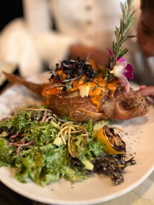 EL PATIO BAR AND GRILL - Updated December 2025 - 116 Photos & 59 ...