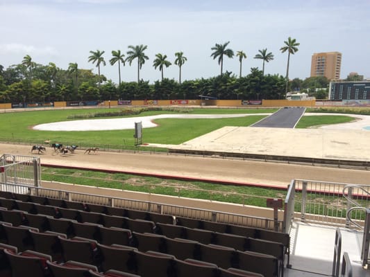 FLAGLER DOG TRACK - Updated November 2025 - 401 NW 38th Ct, Miami ...