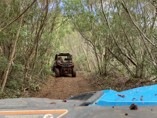 MAUI OFF ROAD ADVENTURES - Updated February 2025 - 497 Photos & 370 ...