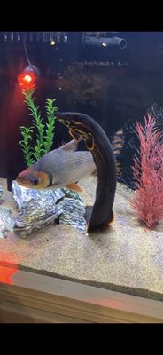 AQUATICS UNLIMITED - Updated November 2025 - 27 Photos & 53 Reviews ...