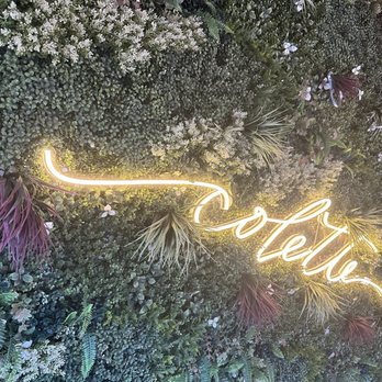COLETTE - TEMP. CLOSED - Updated July 2024 - 1803 Photos & 881 Reviews ...