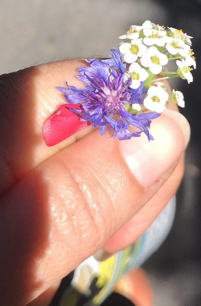 POTRERO COUNTY PARK CAMPGROUND - 75 Photos & 25 Reviews - 24800 Potrero ...