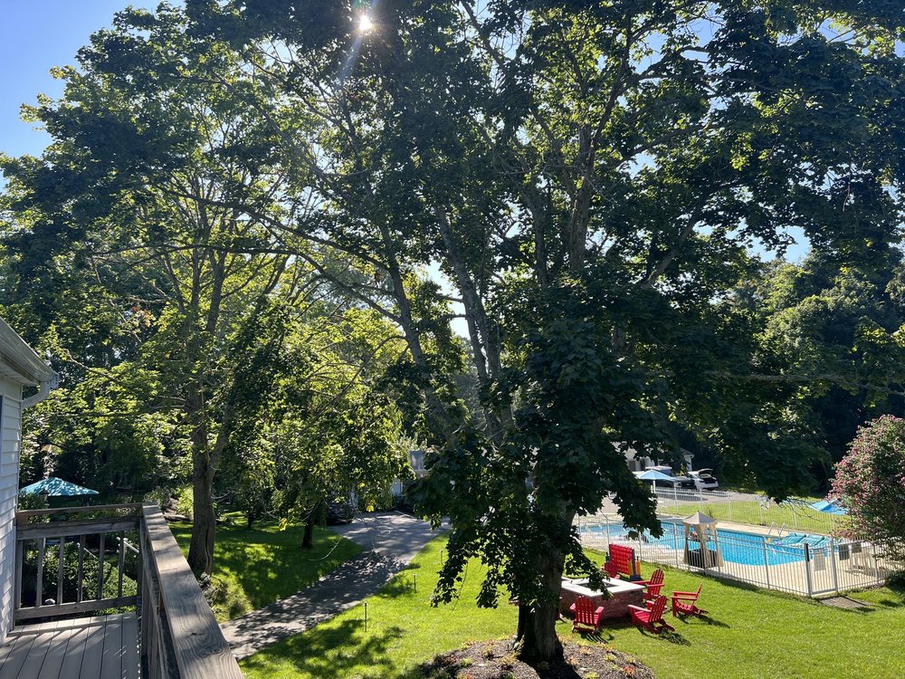 SESUIT HARBOR HOUSE - Updated June 2025 - 17 Photos & 25 Reviews - 1421 ...