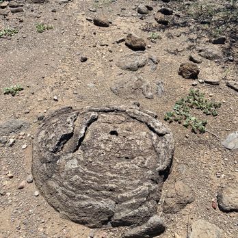 JOHN SLAUGHTER RANCH - Updated July 2025 - 14 Photos - 6153 Geronimo ...