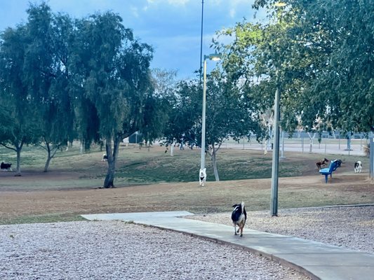 QUAIL RUN PARK - Updated May 2026 - 29 Photos & 43 Reviews - 4155 E ...