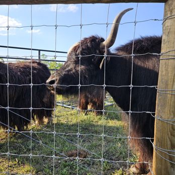 WOOLLY YAK RANCH & WINERY - Updated December 2025 - 58 Photos & 14 ...