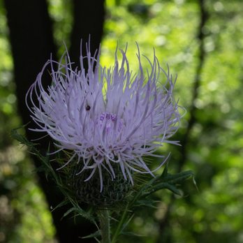 JESTER PARK NATURE CENTER - Updated December 2025 - 70 Photos - 12130 ...