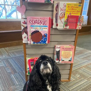 PAWTUCKET PUBLIC LIBRARY - Updated September 2025 - 23 Photos & 12 ...