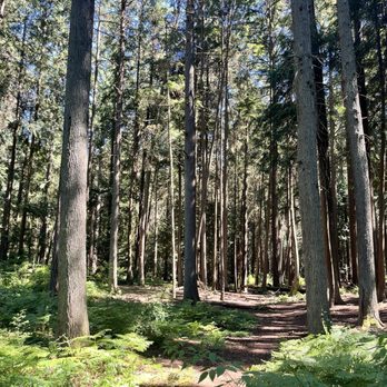 HAMLIN PARK - Updated December 2025 - 96 Photos & 47 Reviews - 16006 ...