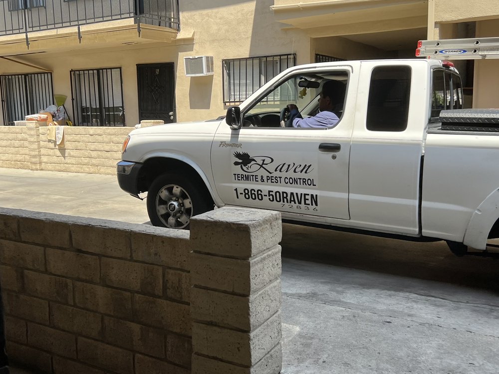 RAVEN TERMITE AND PEST CONTROL - Updated July 2024 - 49 Photos & 30 ...
