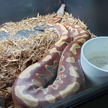 COLD BLOODED KINGDOM - Updated November 2024 - 56 Photos & 12 Reviews ...