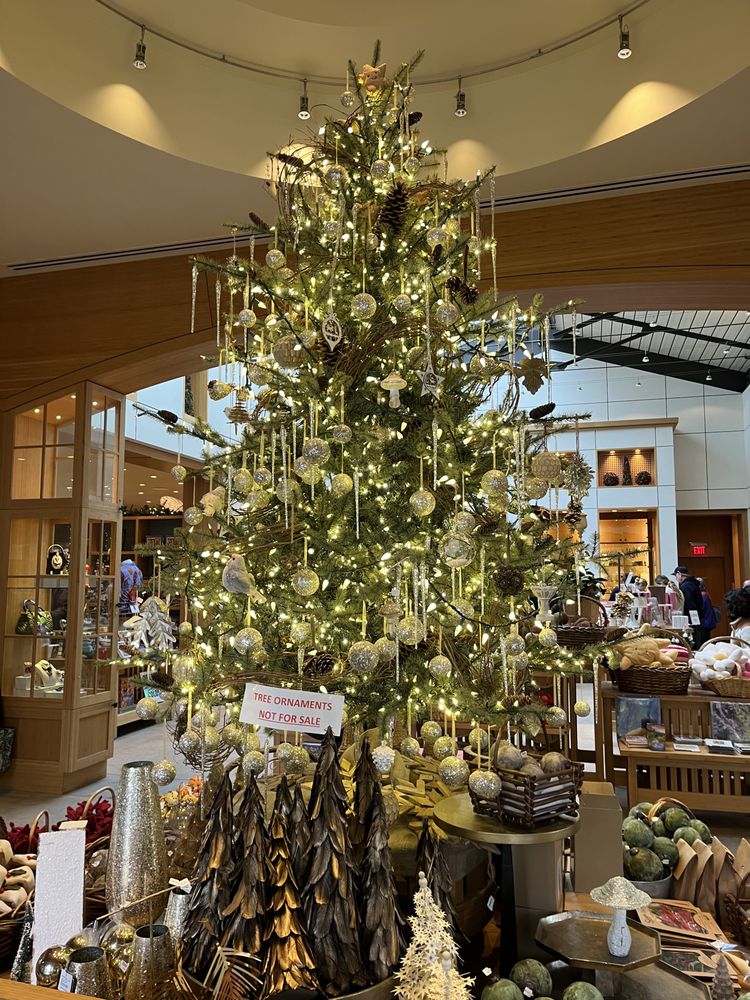 JANIS MORRIS - BERKSHIRE HATHAWAY - Updated July 2025 - 29 Photos & 21 ...