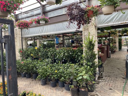 RUIBAL’S PLANTS OF TEXAS - Updated April 2026 - 19 Photos & 19 Reviews ...