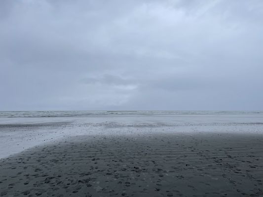 TREE OF LIFE - Updated September 2025 - 69 Photos & 26 Reviews - 101 ...