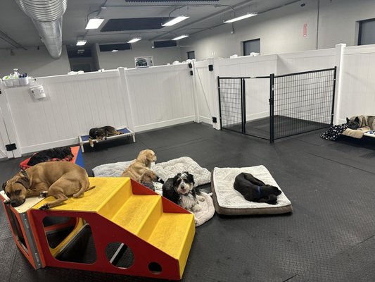 CAMP RUN-A-MUTT COLUMBUS - Updated December 2025 - 56 Photos & 11 Reviews - 55 Green Meadows Dr ...