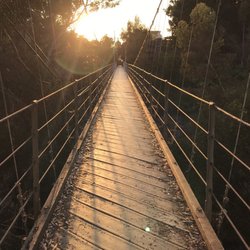 SPRUCE STREET SUSPENSION BRIDGE - 906 Photos & 353 Reviews - Spruce St ...
