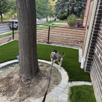 THE LITTLE GUY PAVERS - Updated July 2025 - 84 Photos & 34 Reviews ...