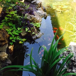 OCEAN ZEN - Updated October 2025 - 206 Photos & 145 Reviews - 4117 S ...