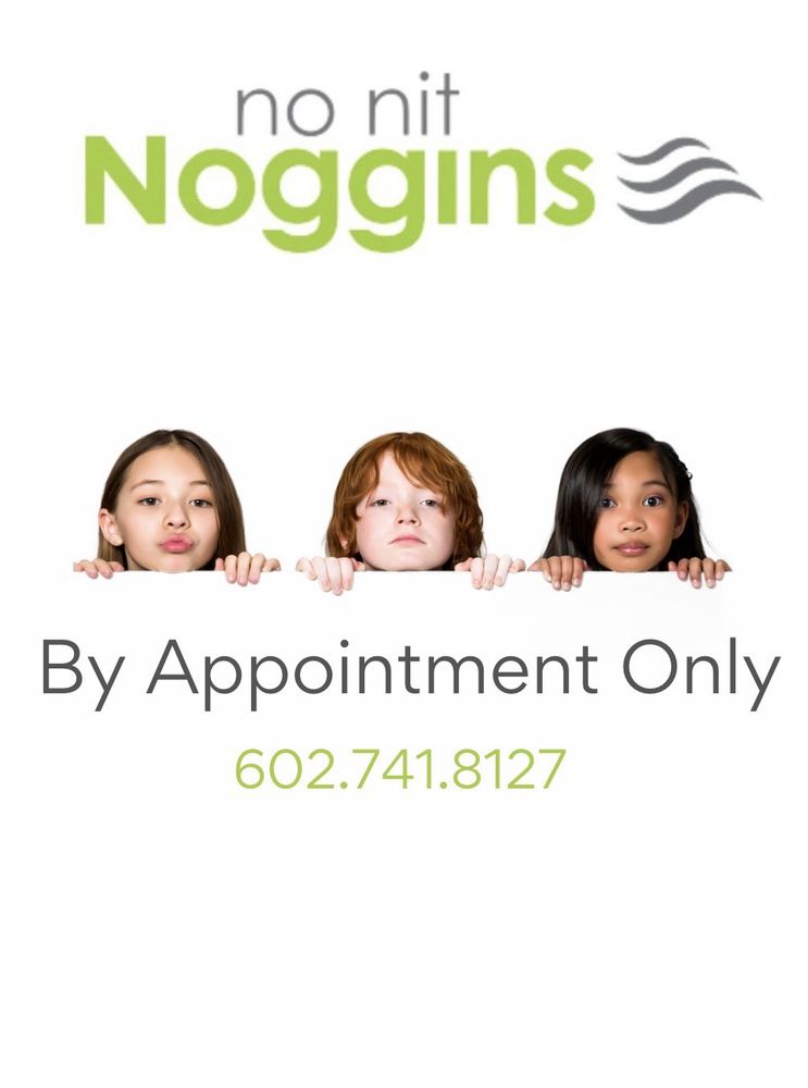NO NIT NOGGINS - Updated May 2025 - 14040 North Cave Creek Rd, Phoenix, Arizona - Lice Services ...